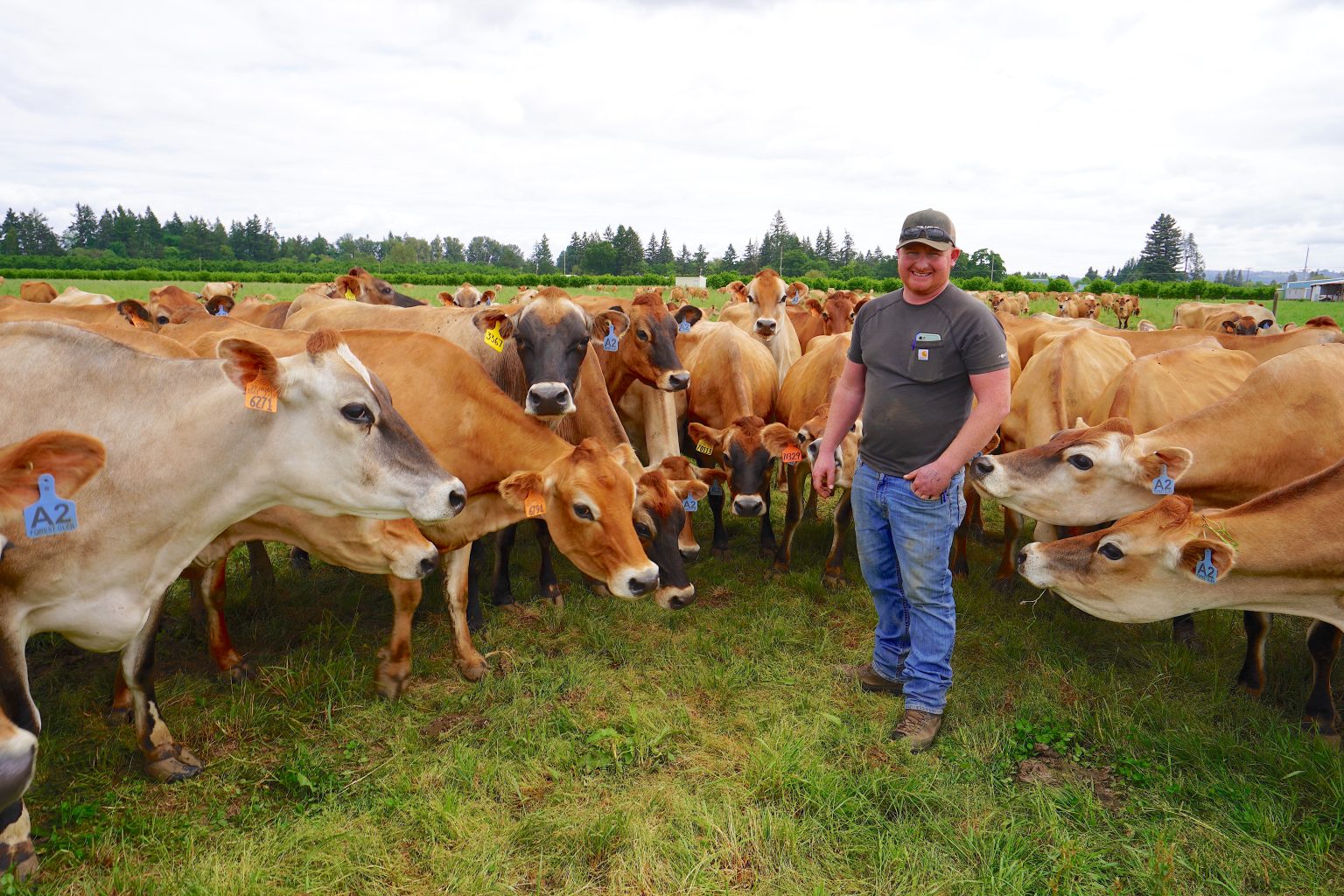 Oregon Dairy Council - Established 1918